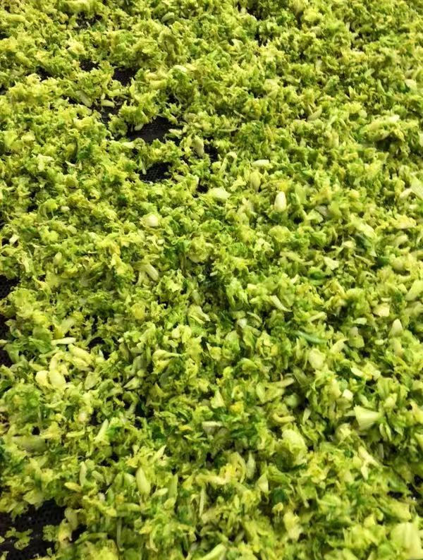 Air Dried Dehydrated Yellow White Cabbage Flakes, Cabbage Flakes, Dried ...