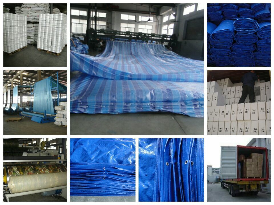 Buy Wholesale China Green Commercial Polyethylene Tarp & Commercial ...