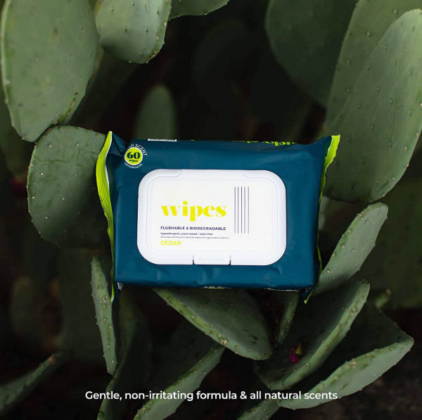 Buy Wholesale China Customized Logo Trave Personal Cleansing Wipes With ...