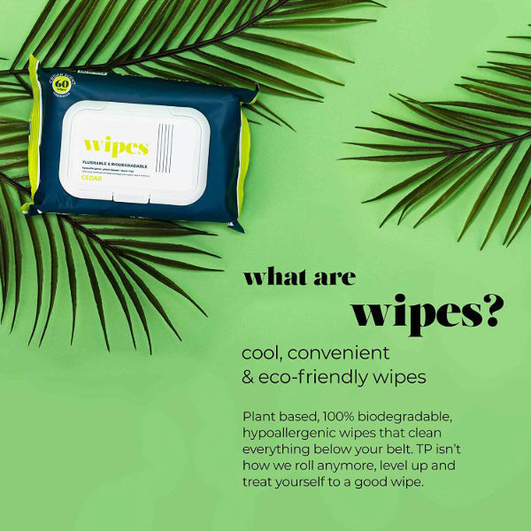 Buy Wholesale China Customized Logo Trave Personal Cleansing Wipes With ...