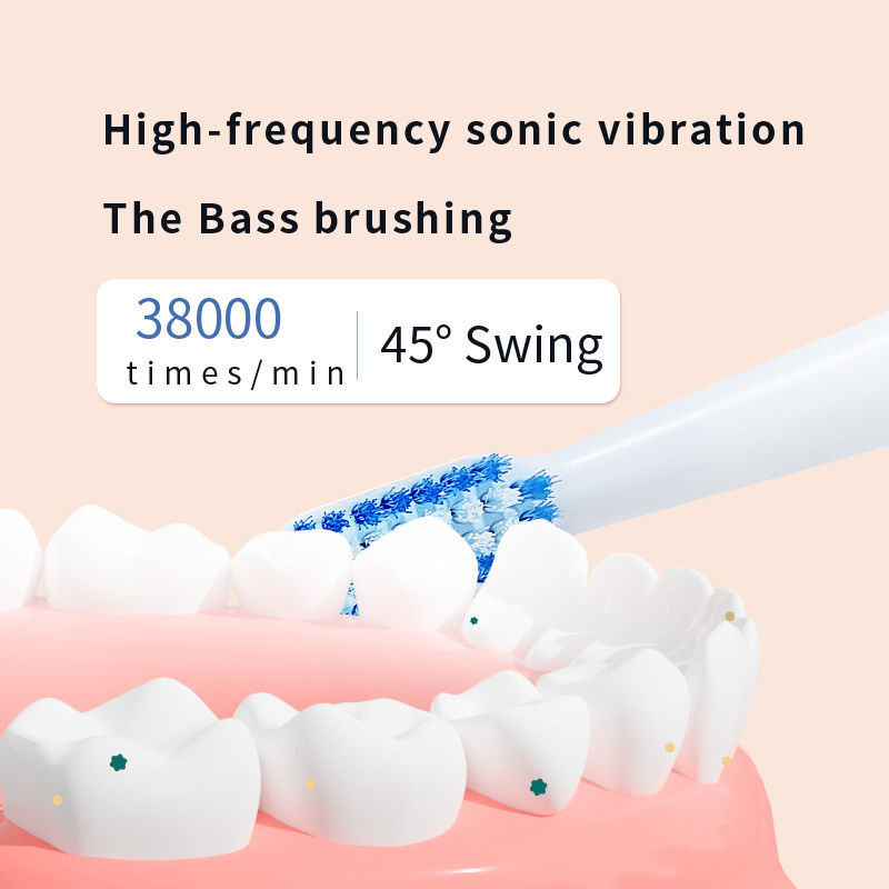 Buy China Wholesale Oem Ss6 Electric Portable Sonic Rechargeable ...