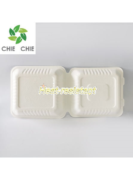 Buy Wholesale China Supplier Of Food Grade Sugarcane Container For Food ...