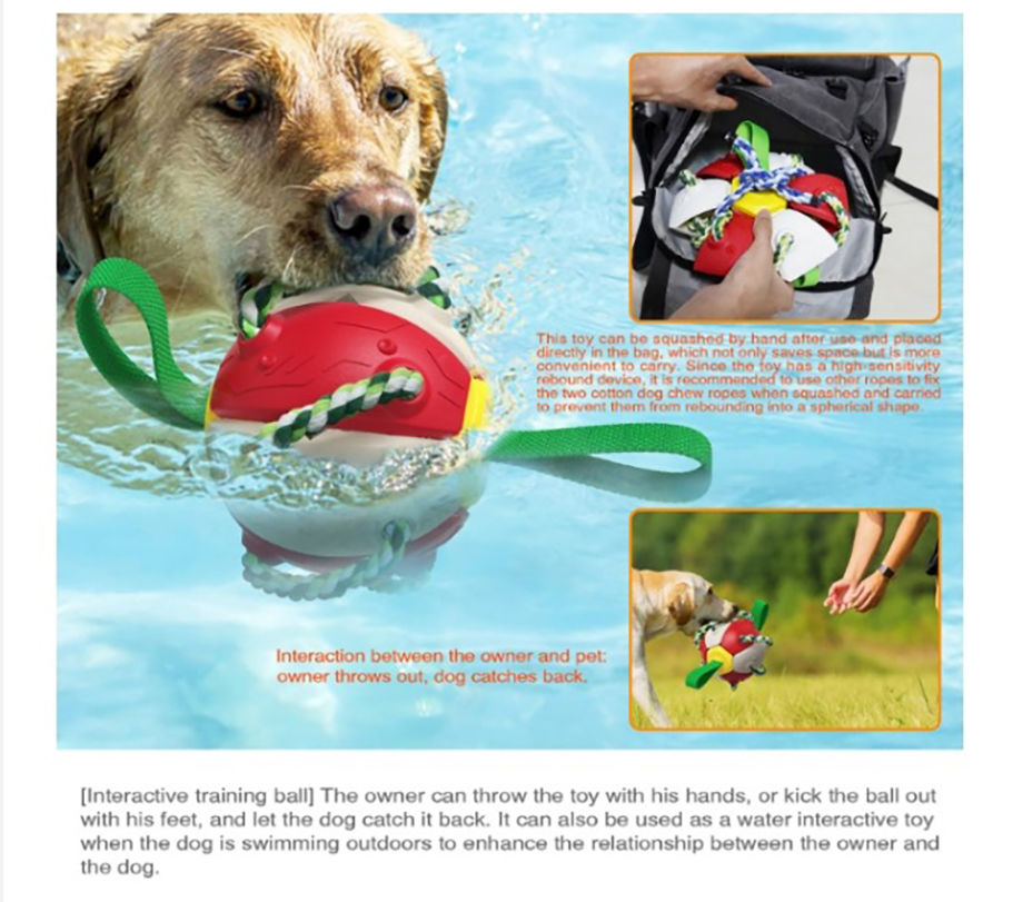 Buy Wholesale China New Design Interactive Training Pet Dog Throw ...