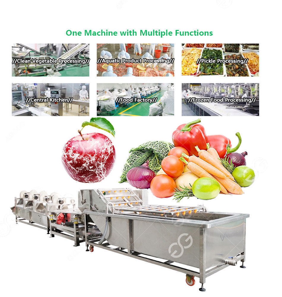 Buy Wholesale China Customizable Dragon Fruit Pawpaw Washing Machine ...