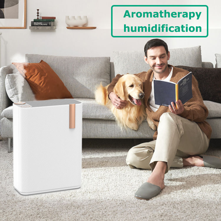 Multi Purpose Haze Killer Filter Air Purifier Anion Humidifier With Pm ...