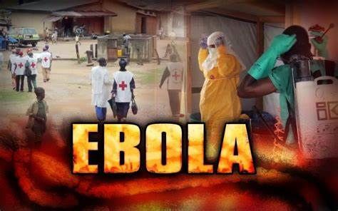 Kaufen Sie China Großhandels-Medizinische Geräte Ebola Ag ...
