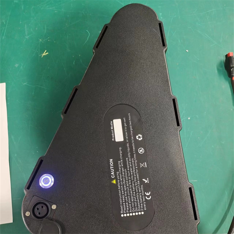 Buy Wholesale China 48v20ah Electric Vehicle Triangular Lithium Battery ...