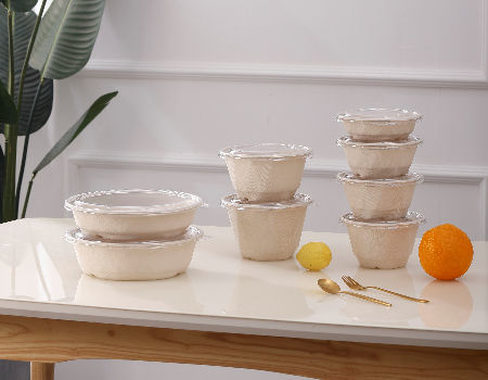 Buy Wholesale China Biodegradable Sugarcane Disposable Heavy-duty ...