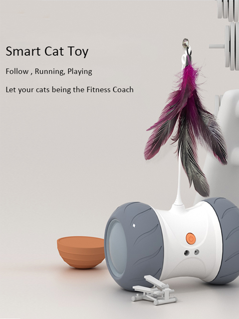 Buy Wholesale China Indoor Electric Funny Cat Toys Interactive Self-hey ...