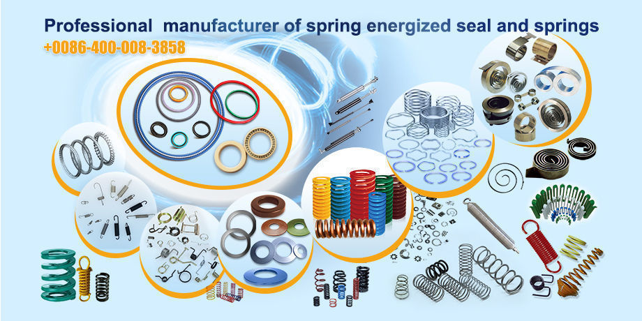 Buy Wholesale China Mechanical Seals Oem Ptfe Seals & Spring Seals at ...