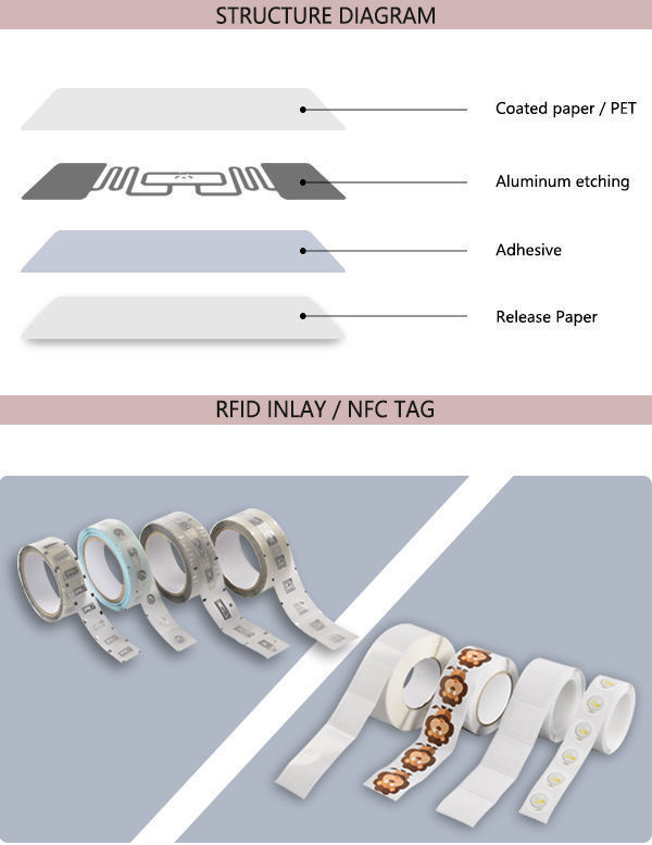 Buy Wholesale China Customized Rfid Tags Long Range Uhf Rfid Tag Dry ...