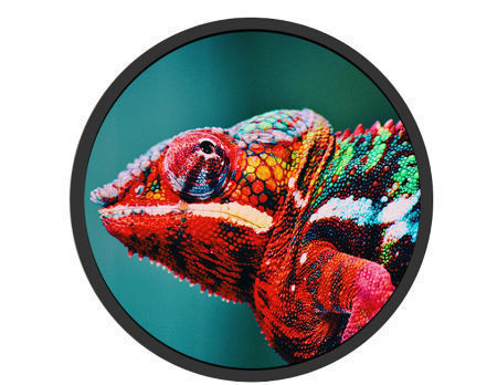 5inch Circle Lcd Display Round Display Screen - Expore China Wholesale ...