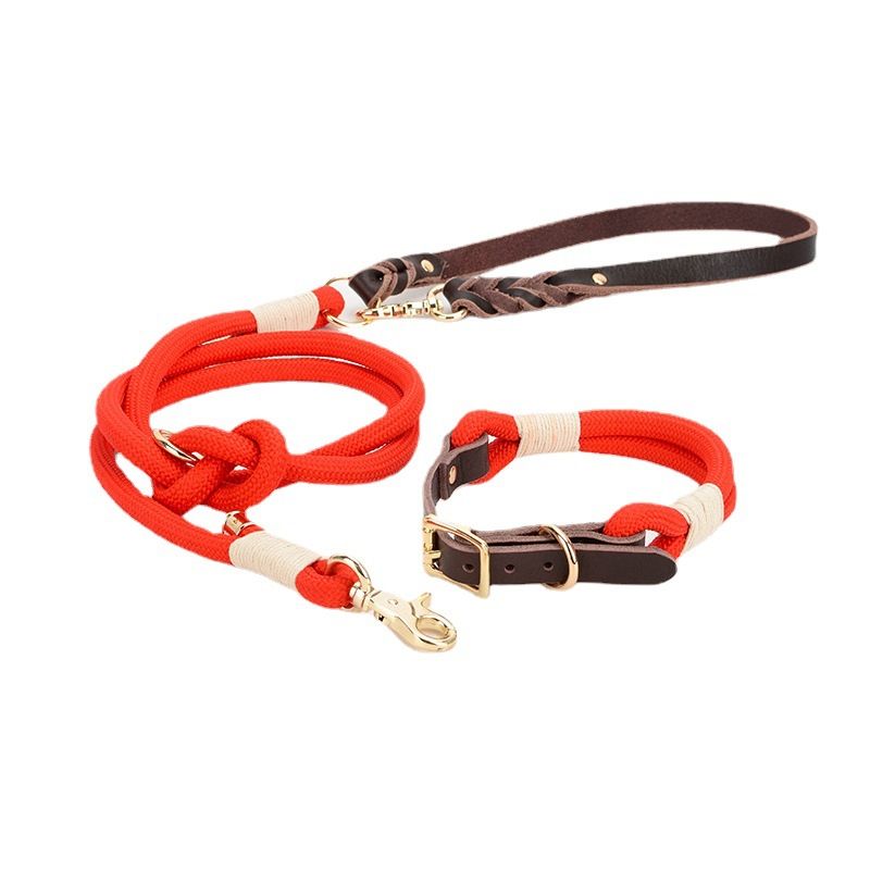 Wholesale Plain Breakaway Pet Nylon Material Rope Leather Dog Rope Slip ...