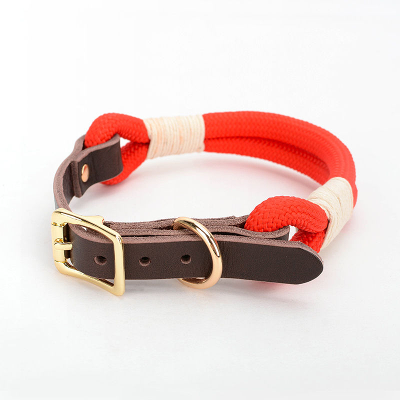 Wholesale Plain Breakaway Pet Nylon Material Rope Leather Dog Rope Slip ...