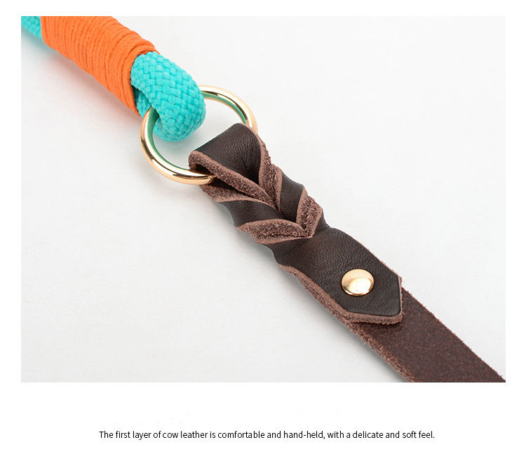 Wholesale Plain Breakaway Pet Nylon Material Rope Leather Dog Rope Slip ...