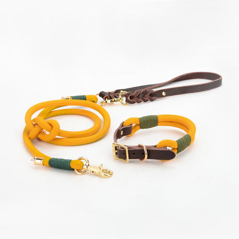 Wholesale Plain Breakaway Pet Nylon Material Rope Leather Dog Rope Slip ...