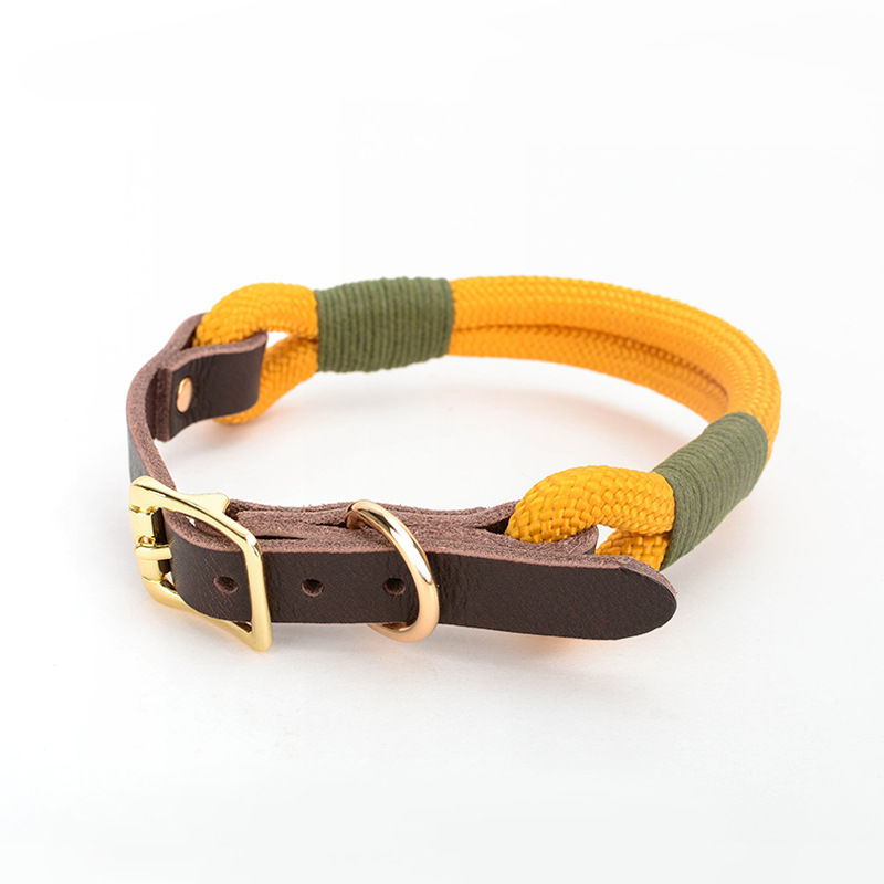 Wholesale Plain Breakaway Pet Nylon Material Rope Leather Dog Rope Slip ...