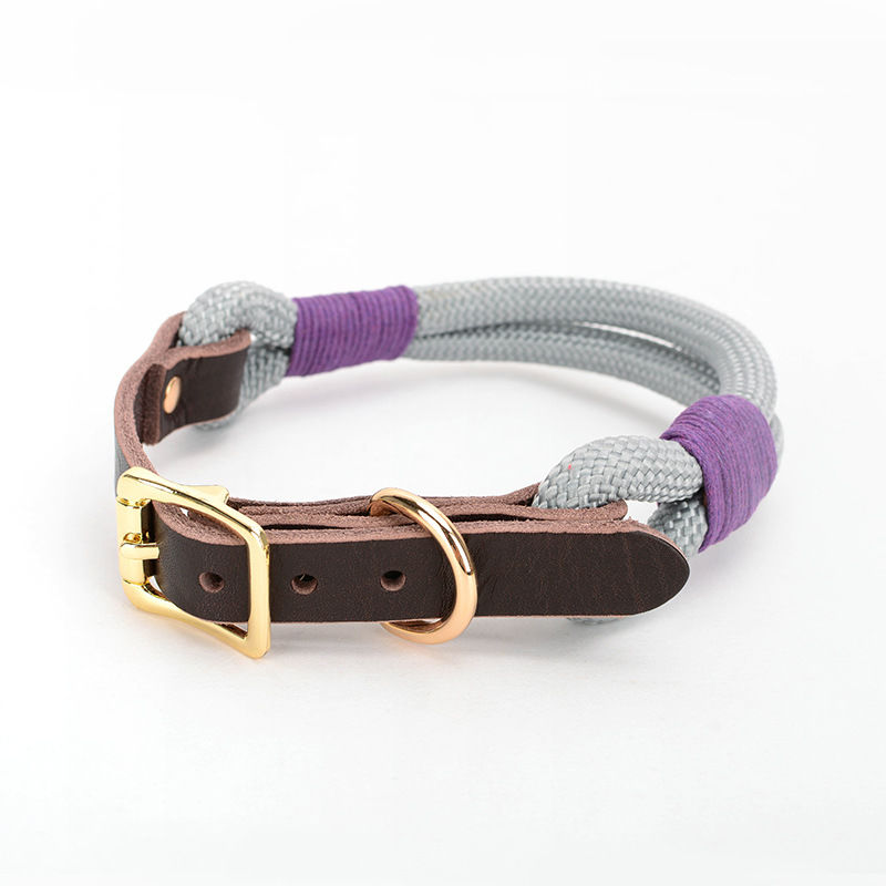 Wholesale Plain Breakaway Pet Nylon Material Rope Leather Dog Rope Slip ...