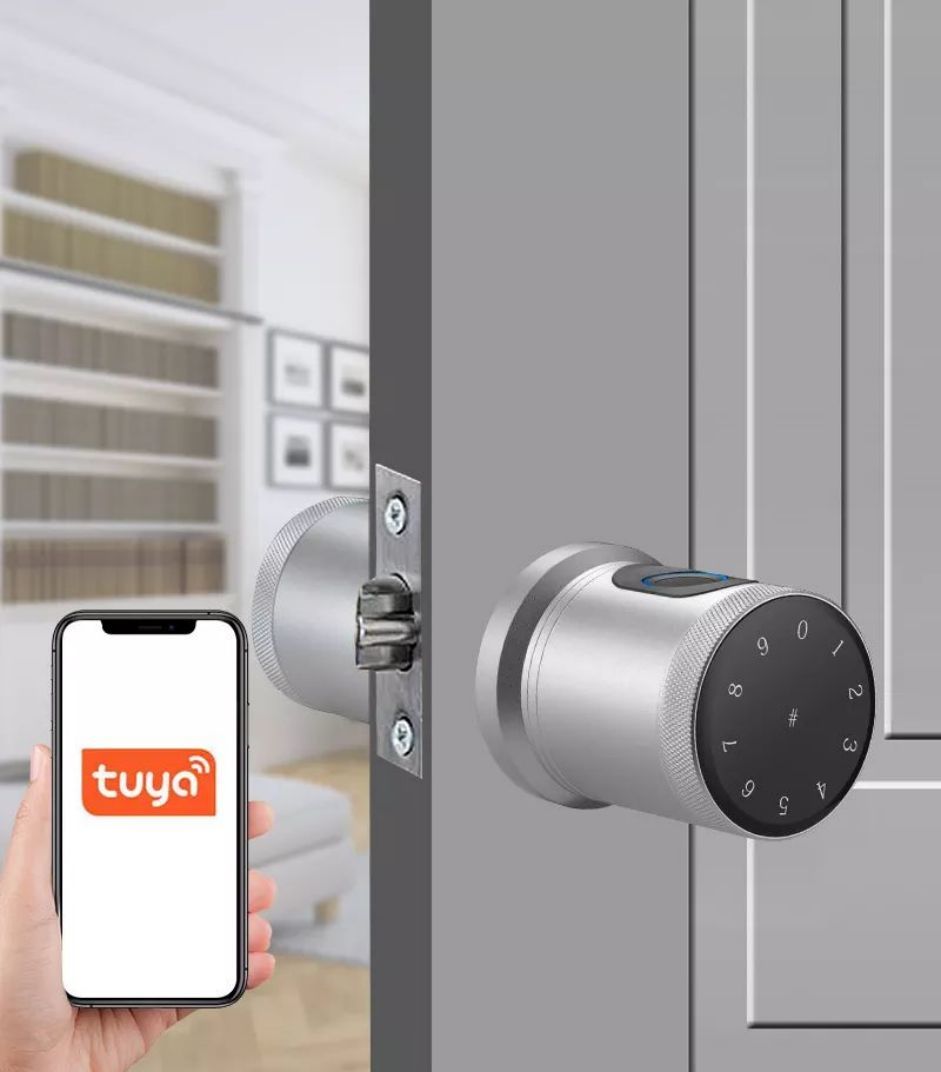 Bulk Buy China Wholesale Zinc Alloy Round Ball Lock Ttlock Tuya App ...