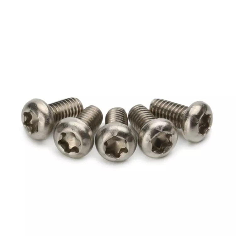 Buy Wholesale China Chinese Manufacture Stainless Steel Pan Head Torx ...