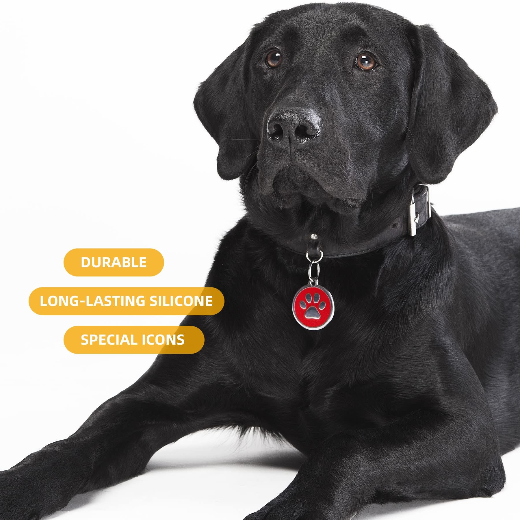 Buy Wholesale China Qr Code Pet Id Tags Personalized Dog Tags Pet ...