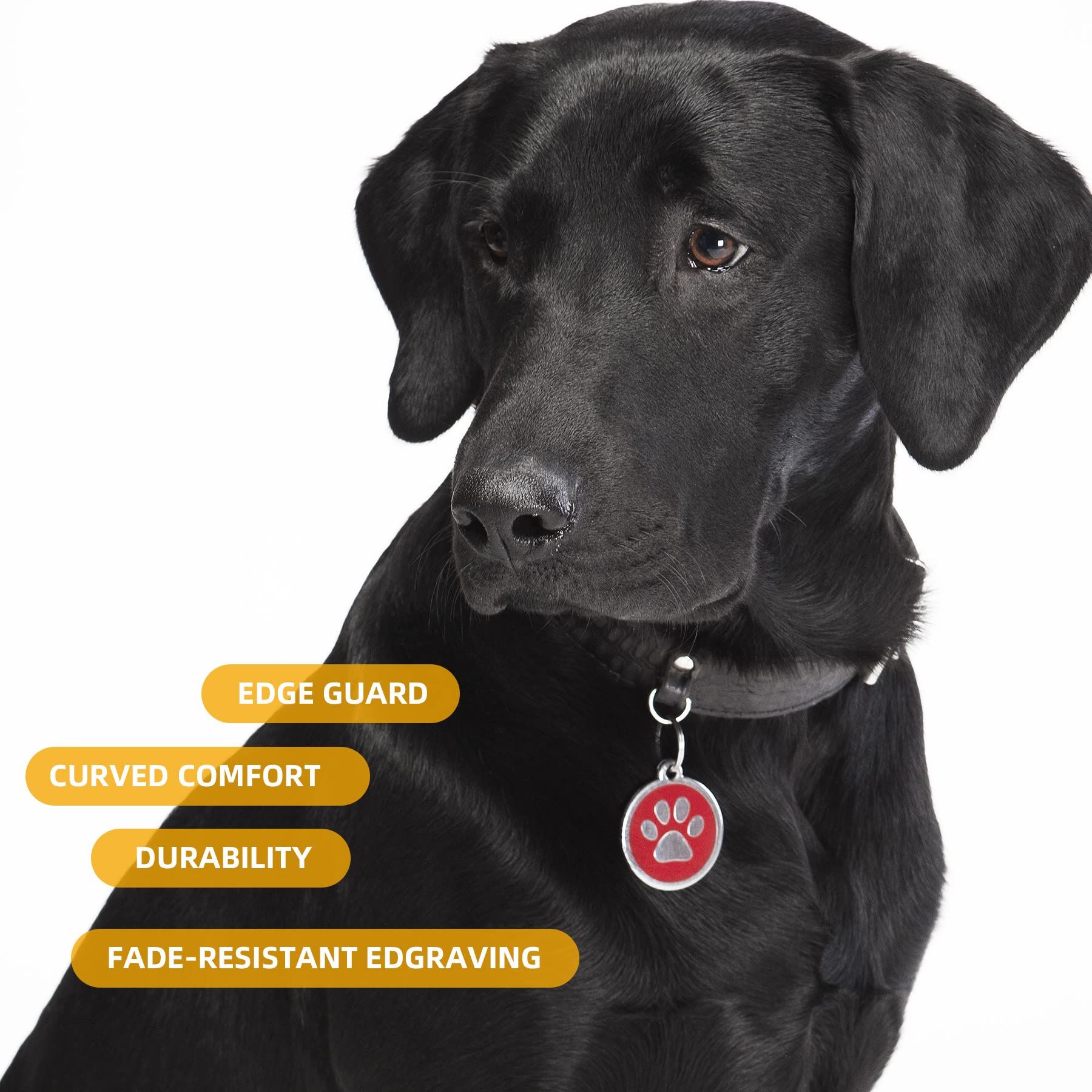 Buy Wholesale China Qr Code Pet Id Tags Personalized Dog Tags Pet ...