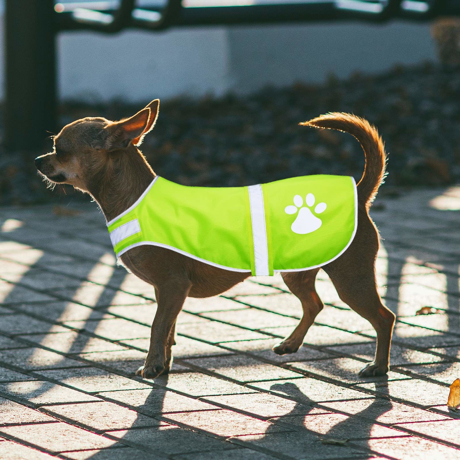 Buy Wholesale China Wholesale Pet Safety Vest Reflective Dog Vest ...
