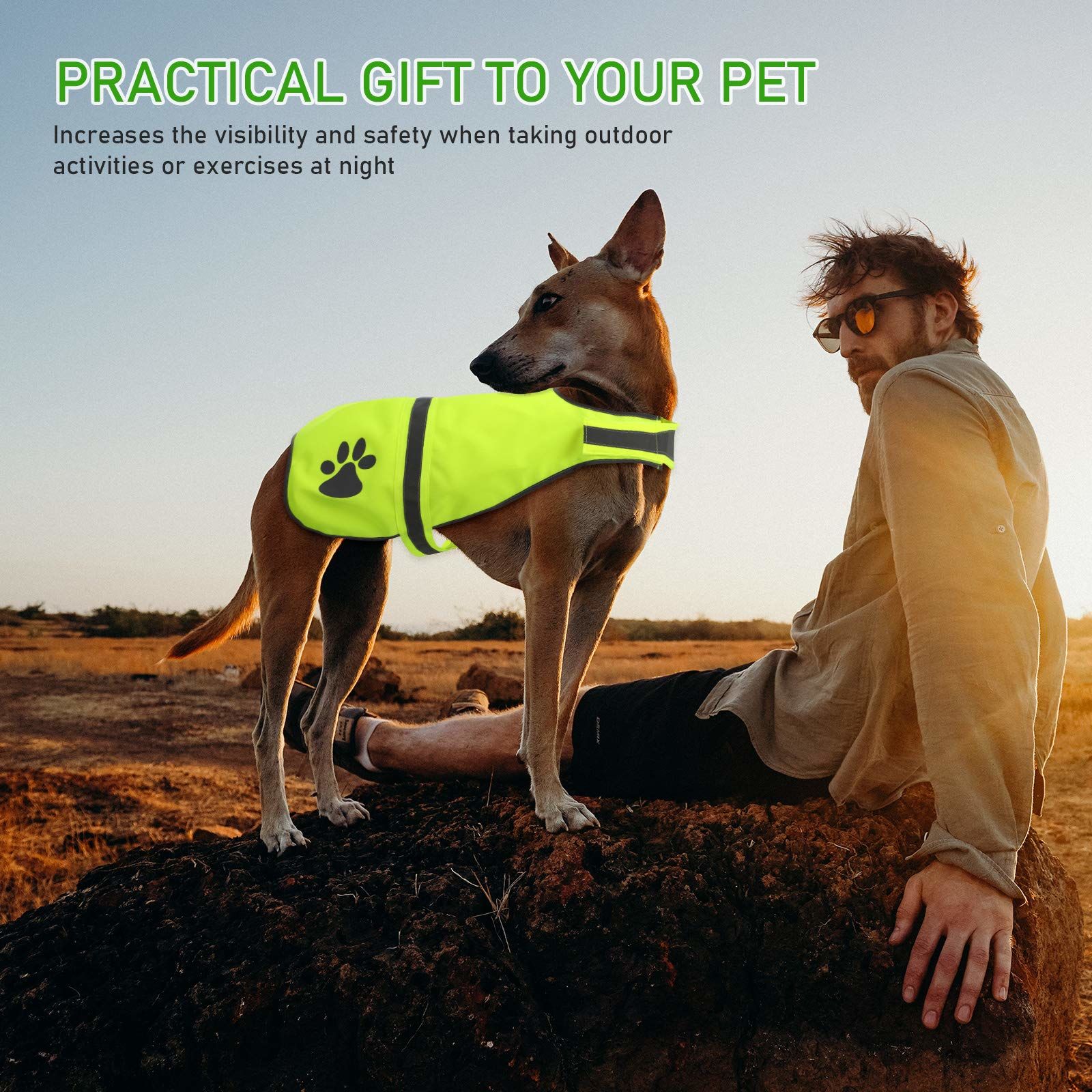 Buy Wholesale China Wholesale Pet Safety Vest Reflective Dog Vest ...