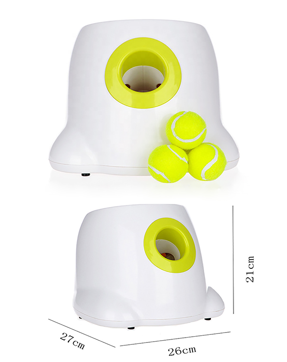 Buy Wholesale China Pet Toy Professional Training Dogs & Pet ...