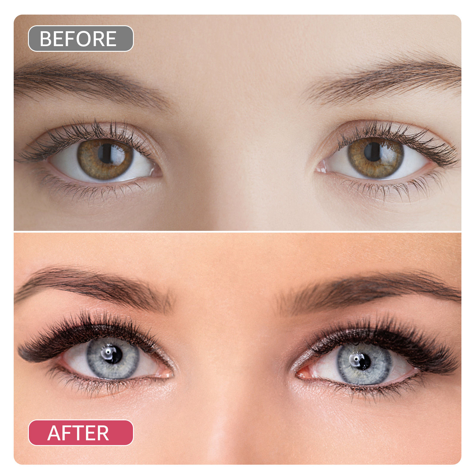 Eyelashes Extensions Easy Fan 2d 3d 4d 5d 6d 7d 8d 9d Wholesale Price 0 ...