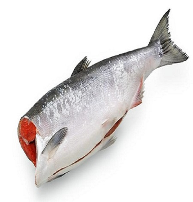 Bulk Buy France Wholesale New Harvest Norwegian Atlantic Salmon Fillet ...