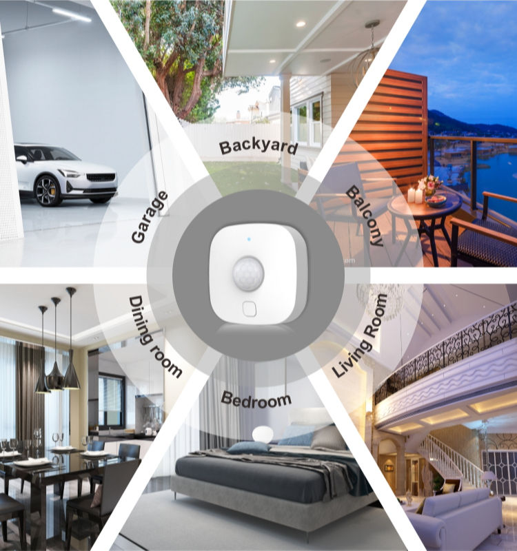 Buy Wholesale China Manufacturer Smart Motion Sensor For Home Security ...