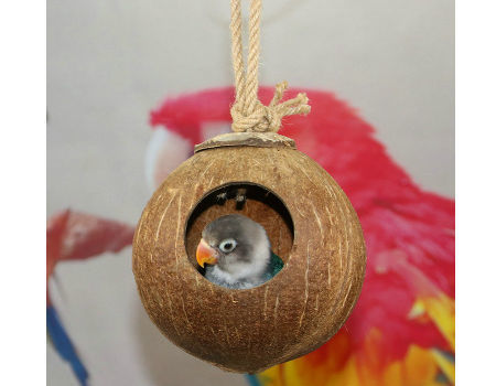 Buy Wholesale China Bird House Coconut Shell Cage Bird Cages Hanging ...