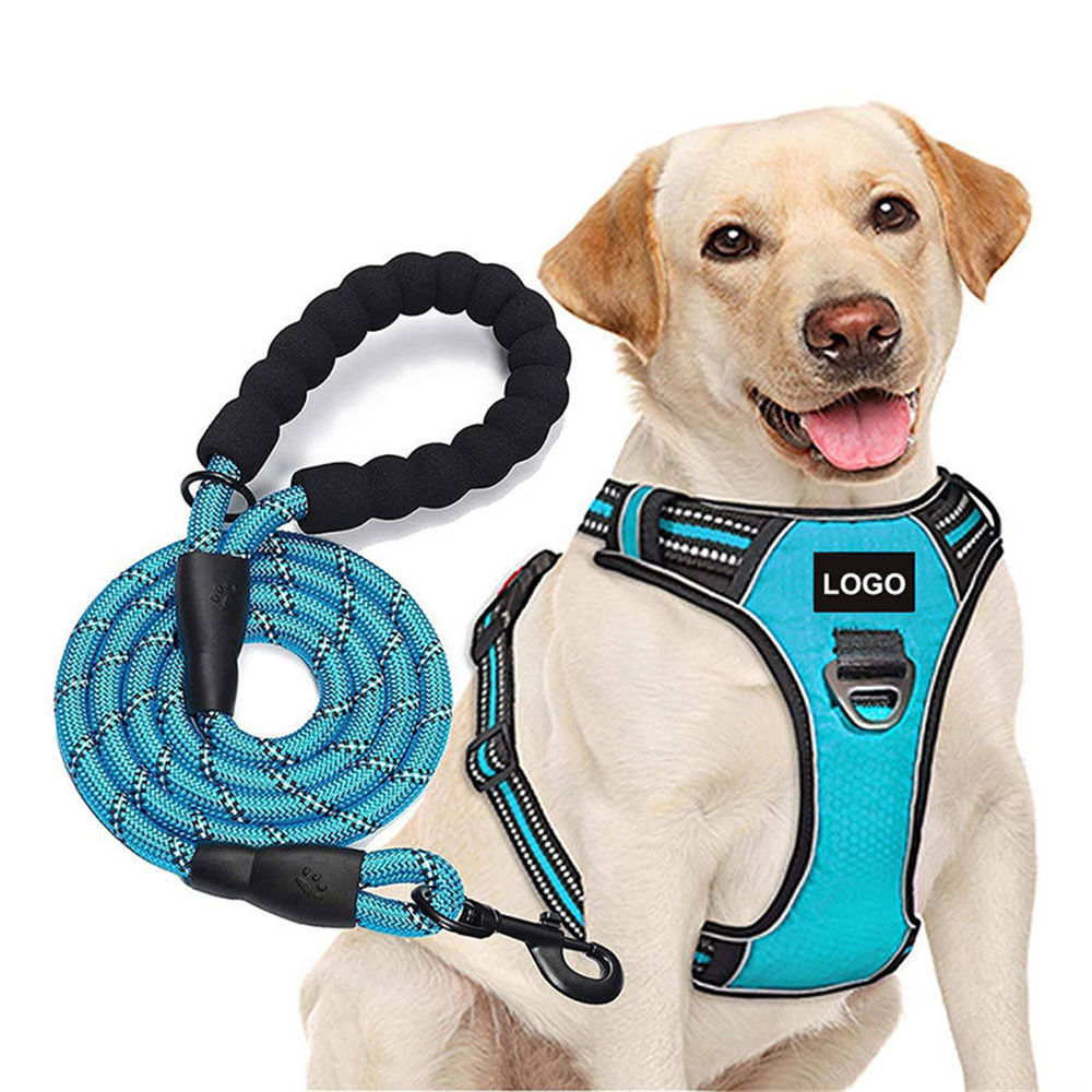 Buy Wholesale China Amazon Hot Anti-shock Protection For Dogs Pet ...