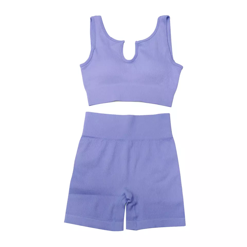 Fashionable Hollow Out Slim Seamless Gym Ribbed Two Piece Women Short ...