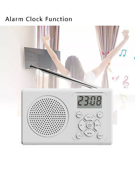 Buy Wholesale China Portable Radios Micro Fm Radio With Power Function ...