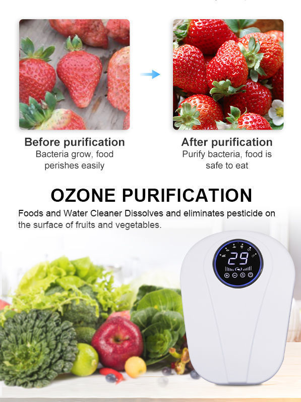 Buy Wholesale China 20m Anion Family Use Fruit&vegetable Meat Purifier ...