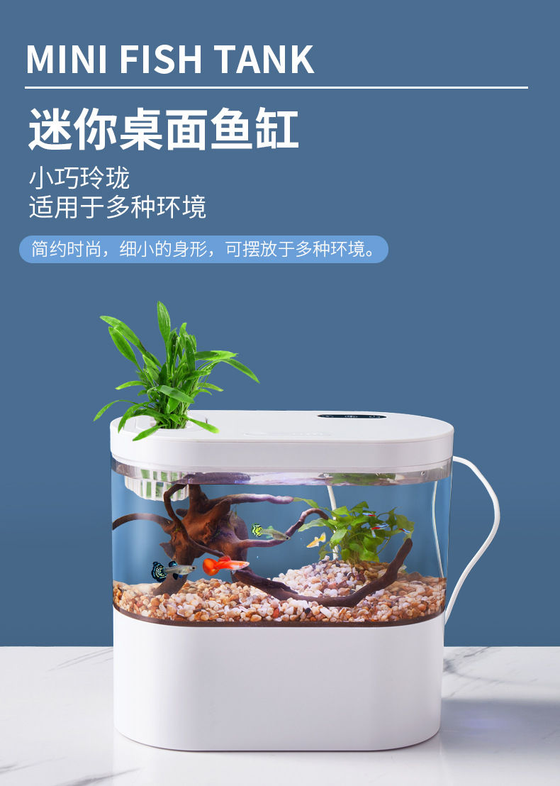 Living Room Household Mini Small Medium Ecological Creative Aquarium ...