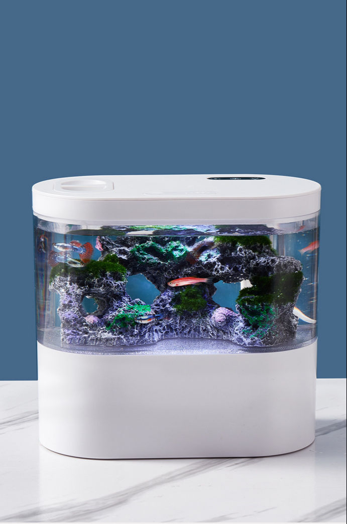 Living Room Household Mini Small Medium Ecological Creative Aquarium ...