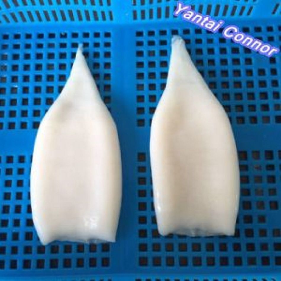 Buy Wholesale Thailand Whole Clean Frozen Squid & Whole Clean Frozen ...