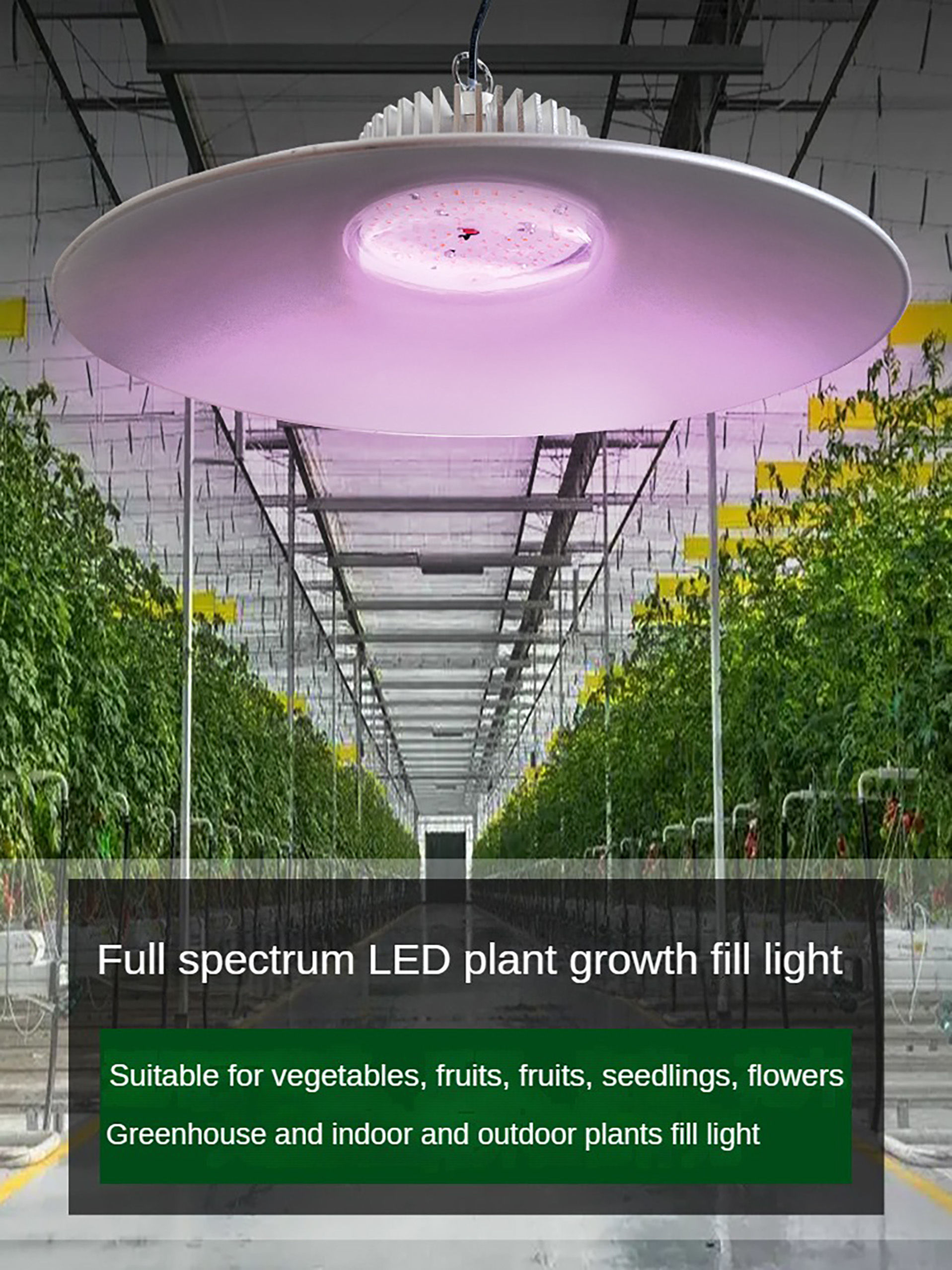 Buy Wholesale China Herb Planting Lamp Complement Color Purple ...