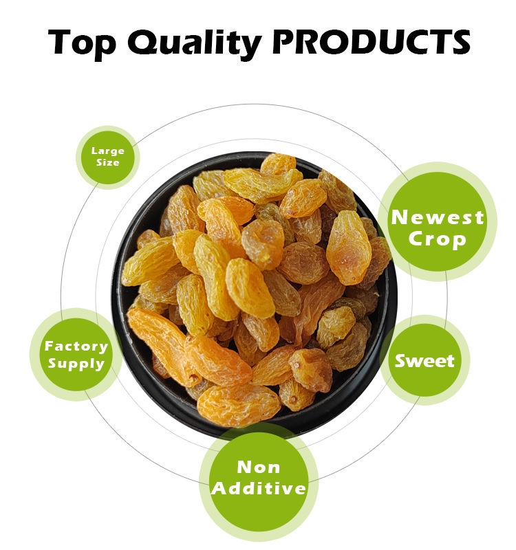 Wholesale Quality Seedless Golden Raisins Factory Price Dried Yellow ...