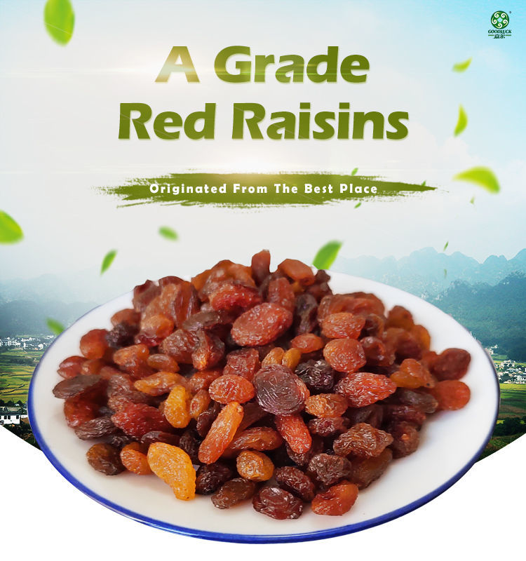 Dried Red Grapes Factory Price Wholesale A Grade Large Red Raisins For ...