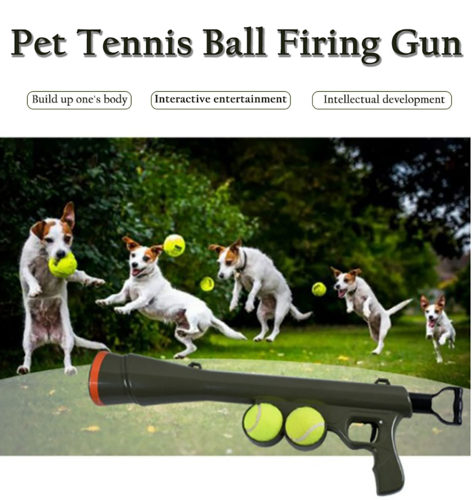 Factory Direct High Quality China Wholesale Pet Training Products ...