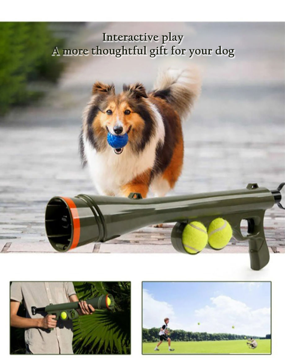 Factory Direct High Quality China Wholesale Pet Training Products ...