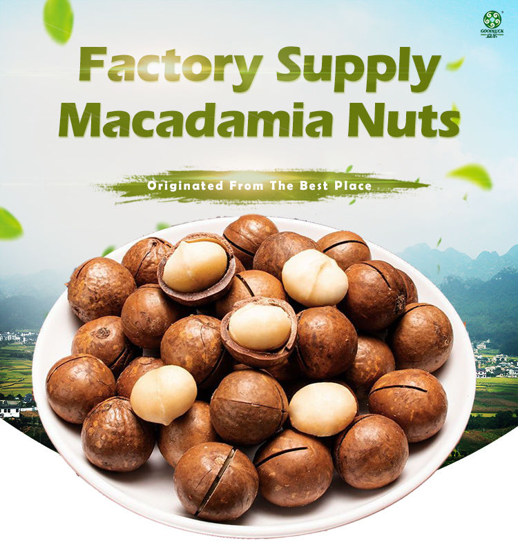 Buy China Wholesale China Manufacture Macadamia Nuts Factory Price ...