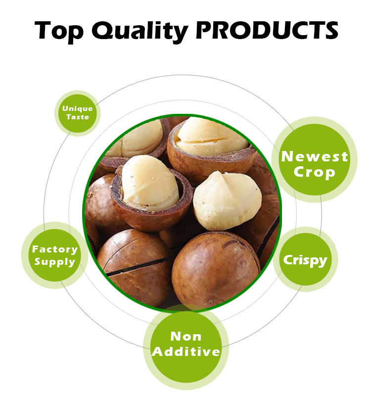 Buy China Wholesale China Manufacture Macadamia Nuts Factory Price ...