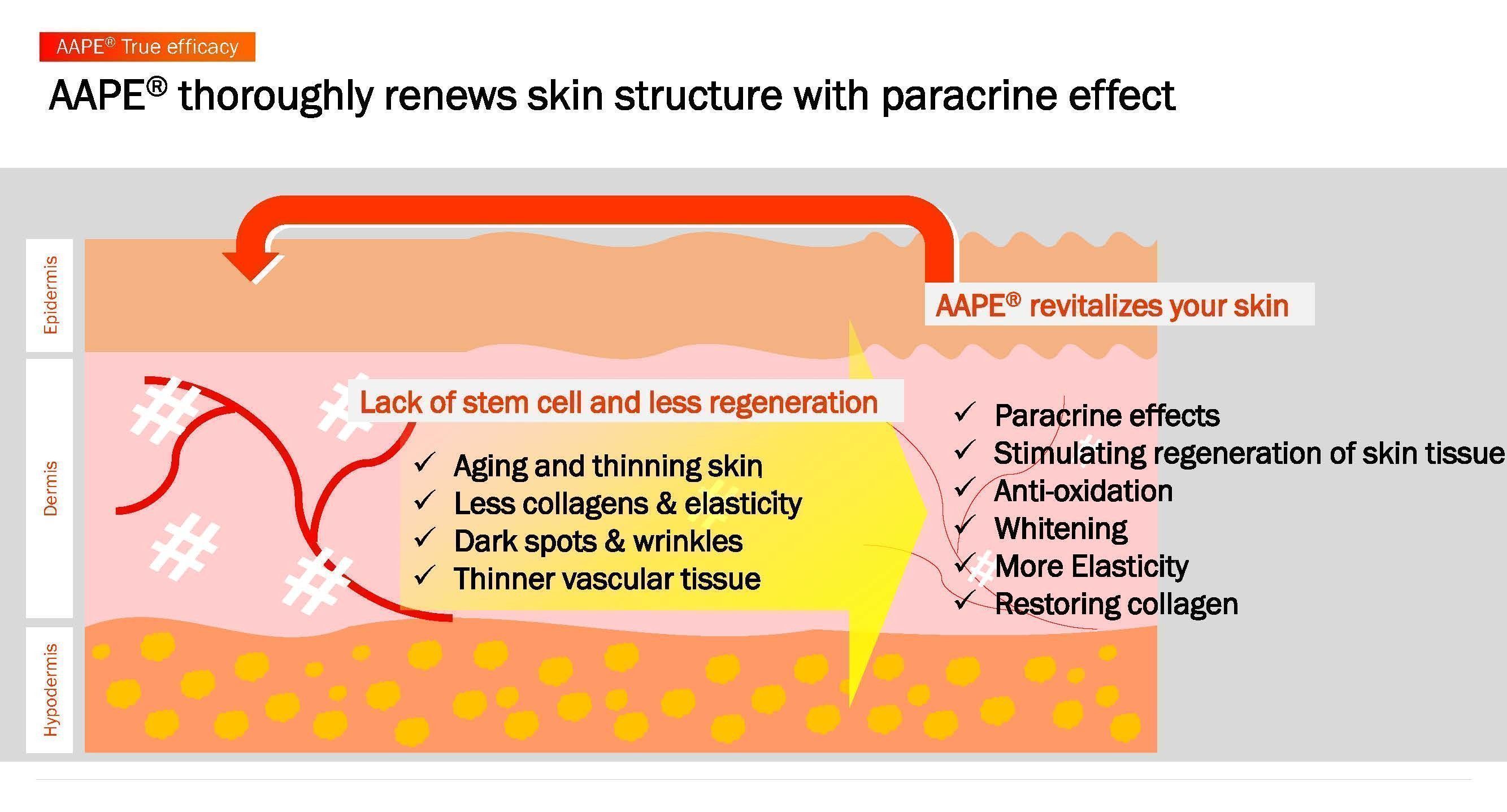 Buy Wholesale China Anti-aging Product Aape Skin Used To Prevent Hair ...