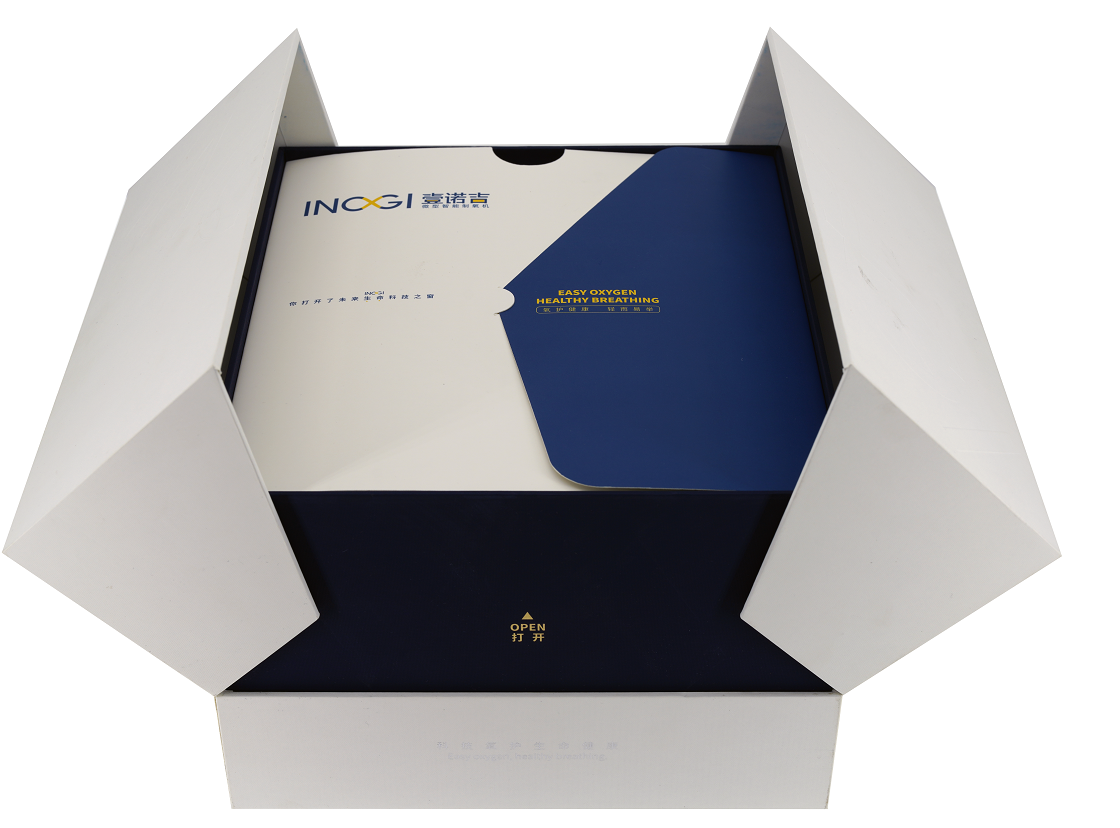 6l Portable Oxygen Concentrator, Oxygenerator, Medical Oxygen ...