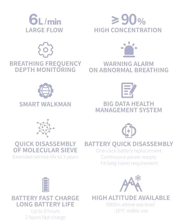 6l Portable Oxygen Concentrator, Oxygenerator, Medical Oxygen ...